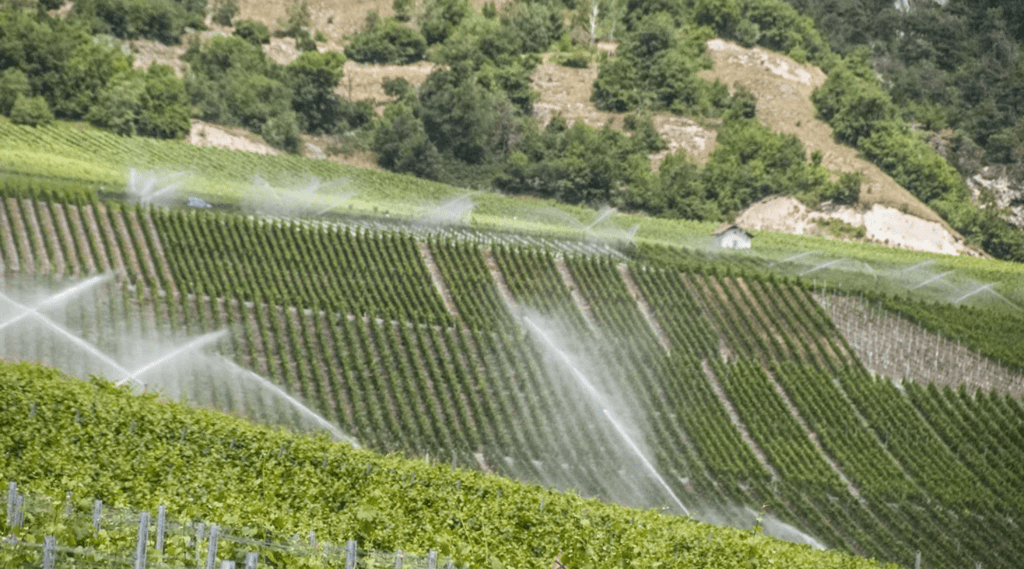 L’irrigation, un enjeu crucial pour l’agriculture, mais également pour ...
